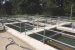 Graniflex Flooring System | Concrete Paving Protector